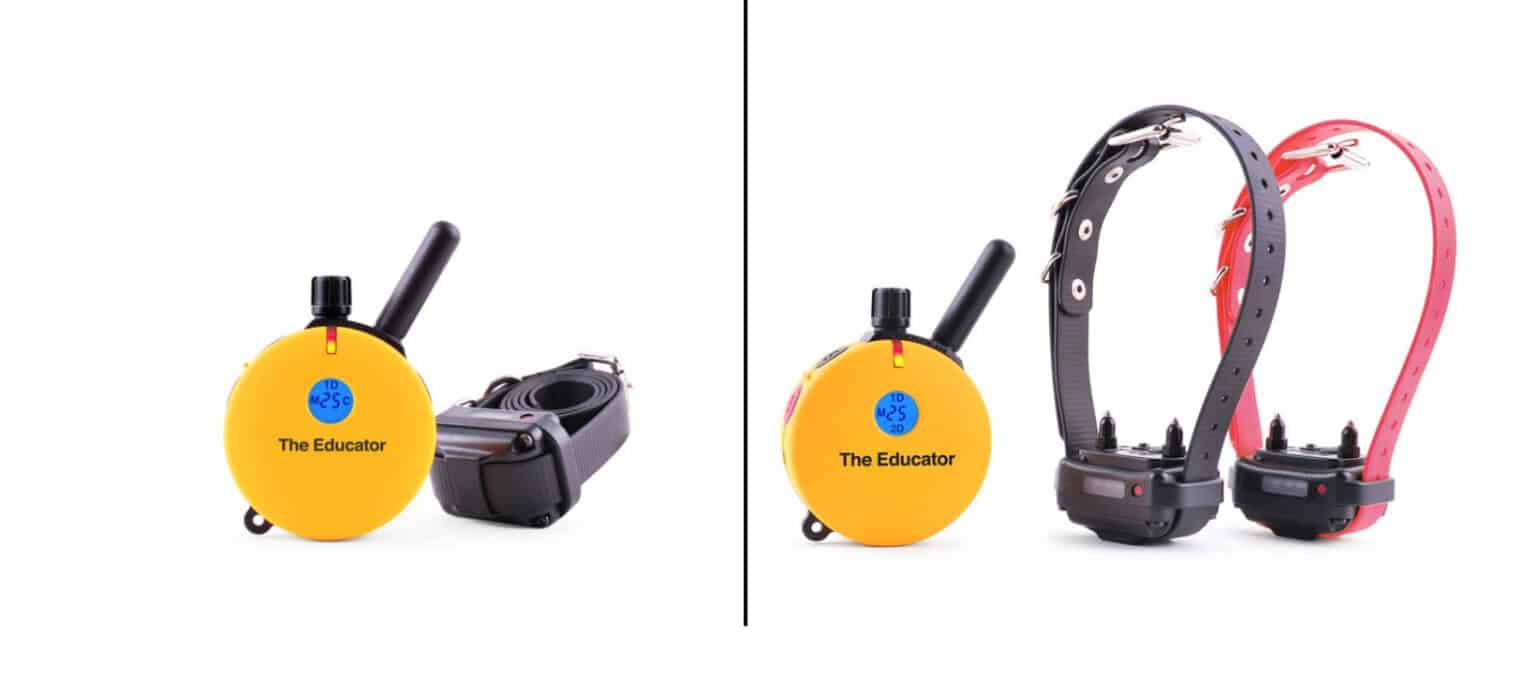 Micro Educator E-Collar Manual for 300 Series Remote | E-Collar