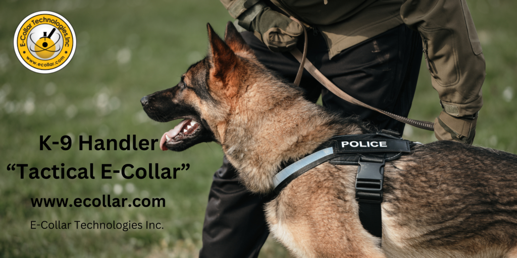 K9 Handler Small Flag | Police Dog Trainer Wall Display | E-Collar