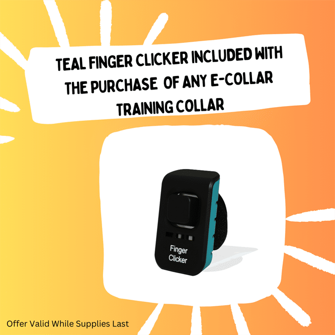 FC-100 Finger Clicker Teal | E-Collar Technologies