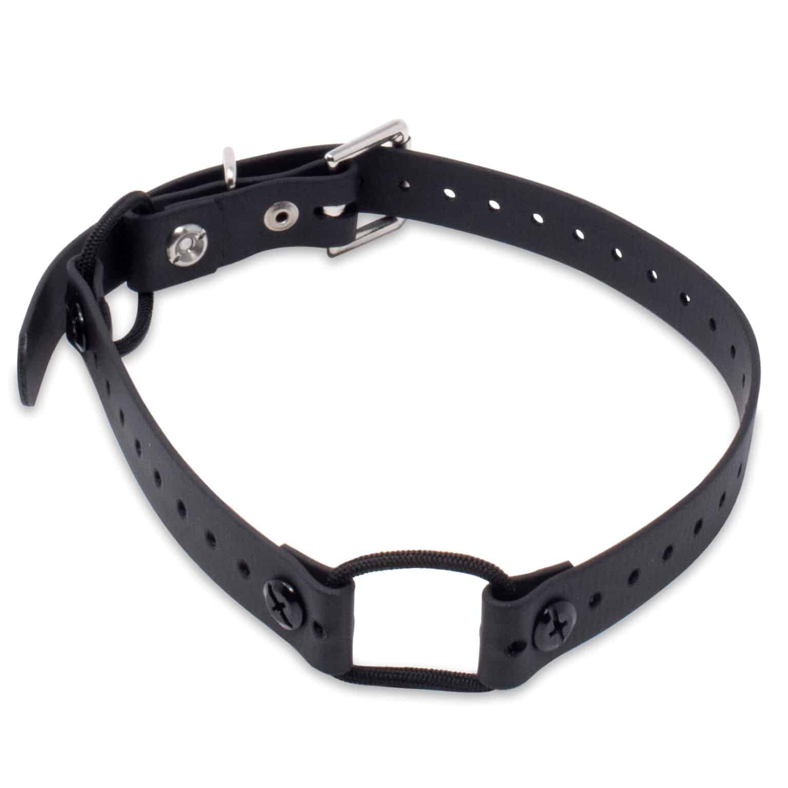 Double Mini Bungee 3/4″ Collar Strap for Small Dogs | E-Collar
