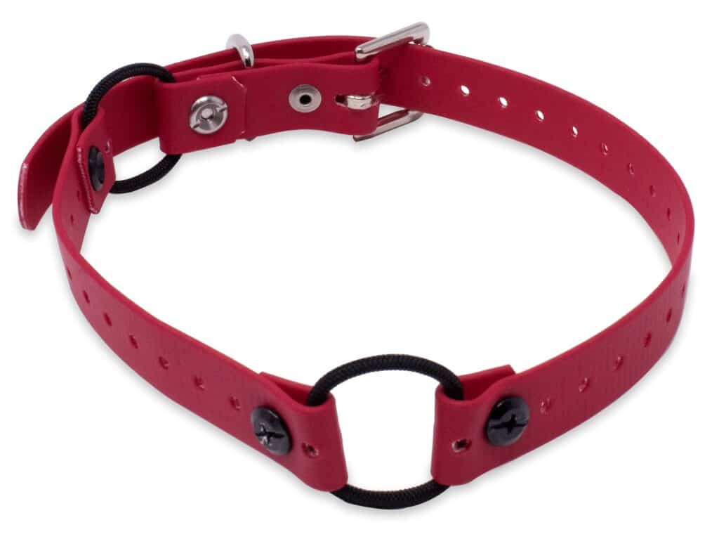 3/4" Double Mini Bungee Collar Strap for Small Dogs - E-Collar