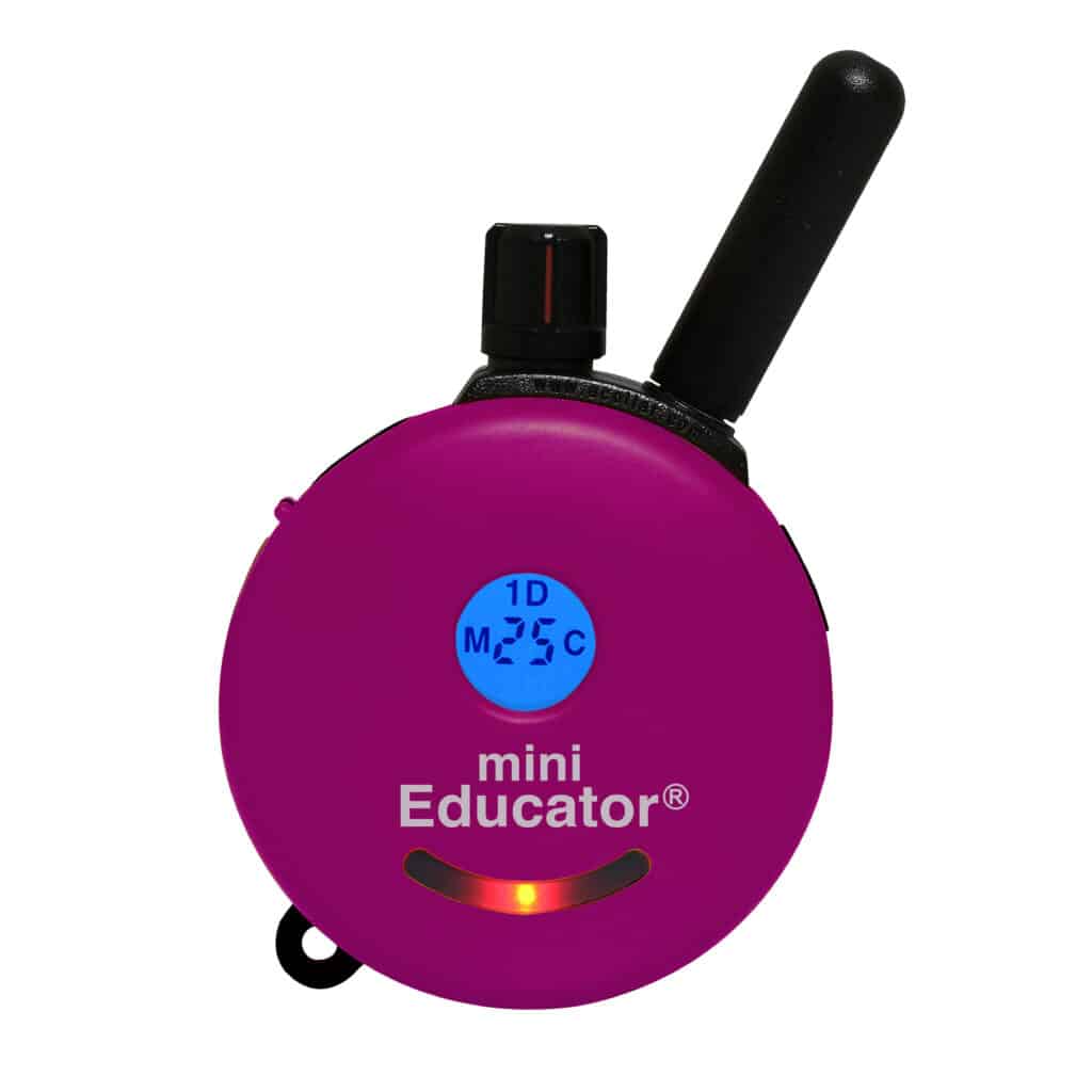 ET-300 Mini Educator E-Collar by E-Collar Technologies | E-Collar