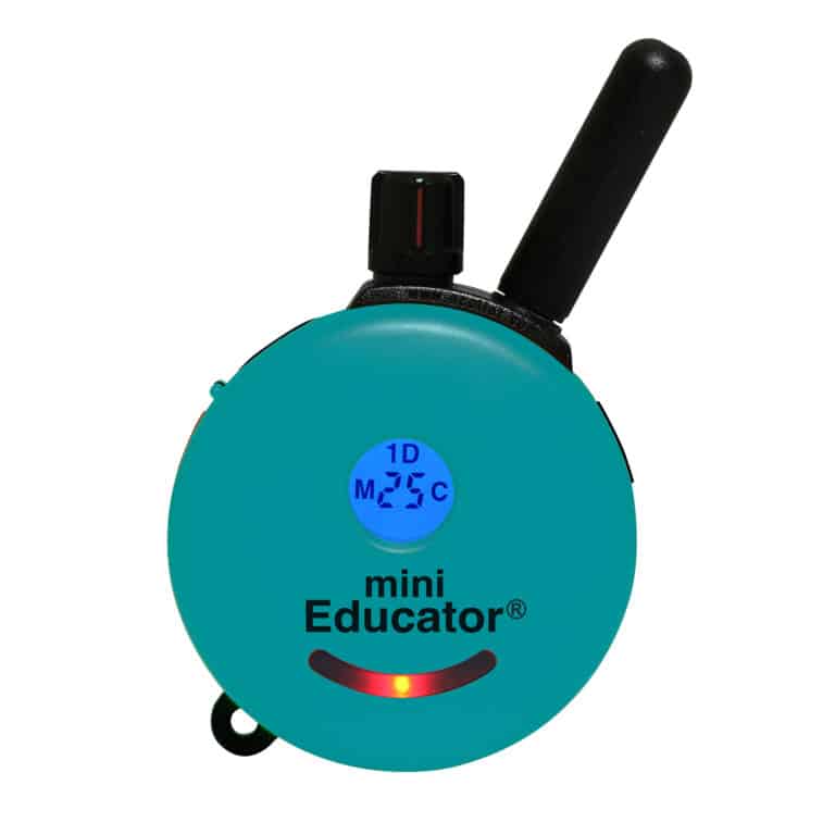 ME-300 Micro EDUCATOR® E-Collar | E-Collar for Small Dogs | E-Collar