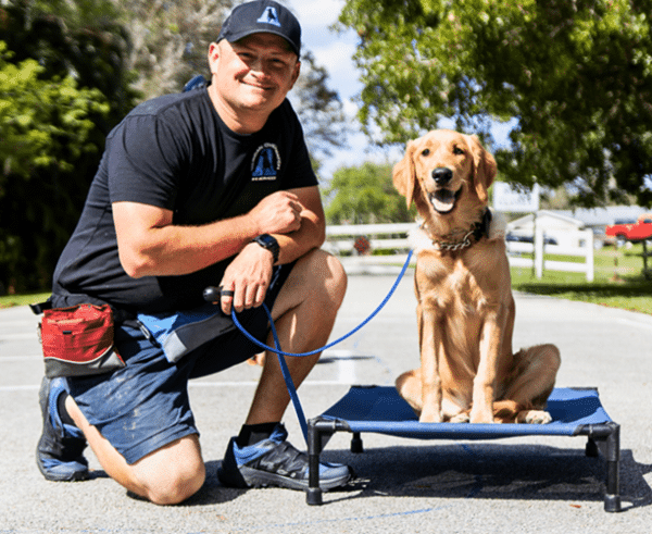 E-Collar Technologies | Dog Training E-Collars, E-Fence, Barkless