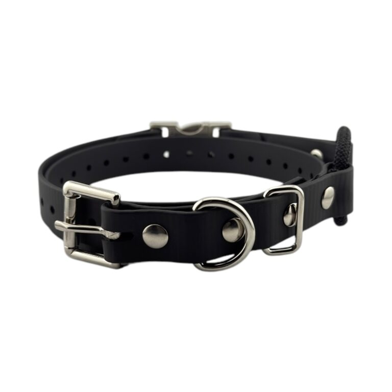 Bungee Collar Strap 3/4" with Quick-Snap Release | E-Collar