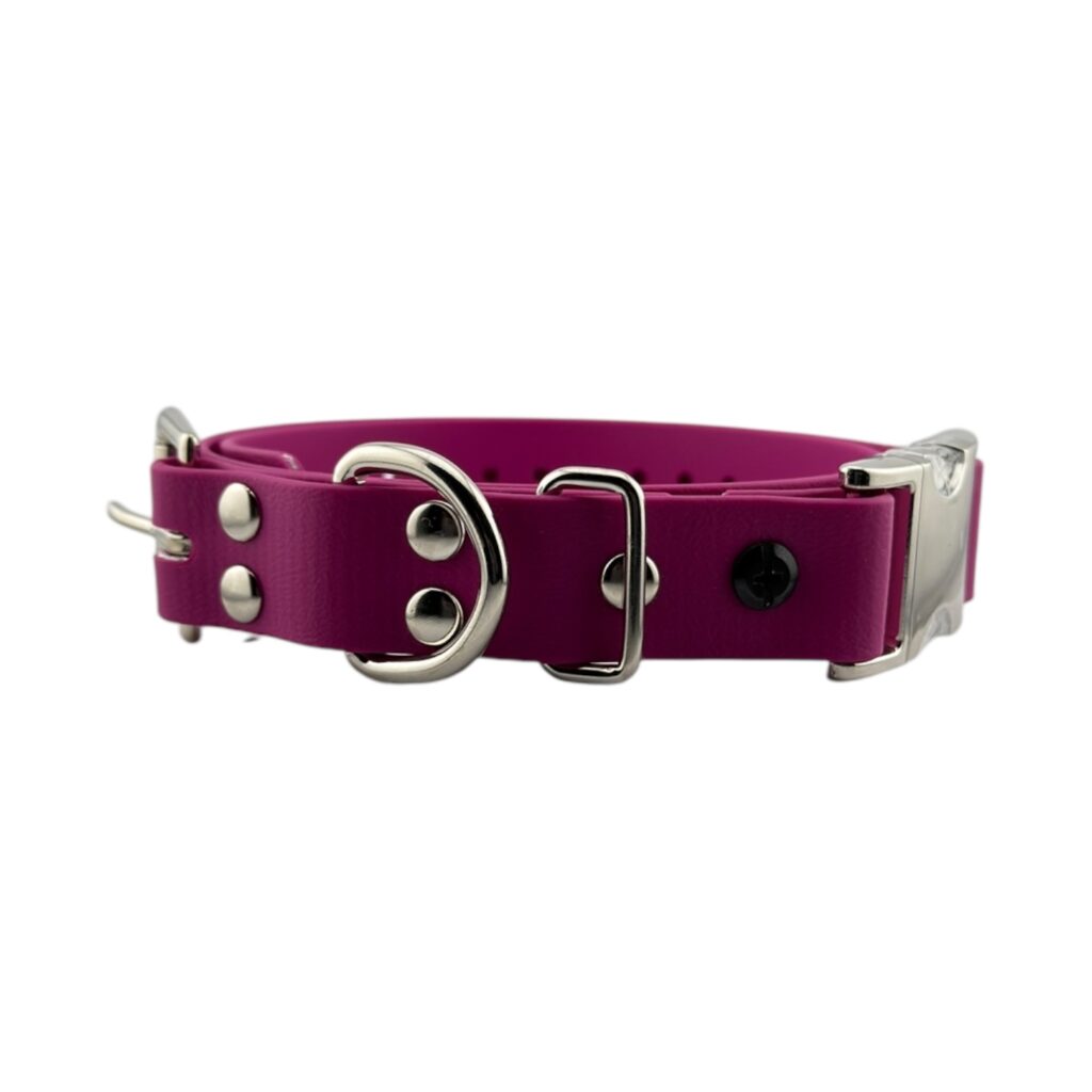 1″ Quick Snap Biothane Collar Strap | Colorful Dog Collars | E-Collar