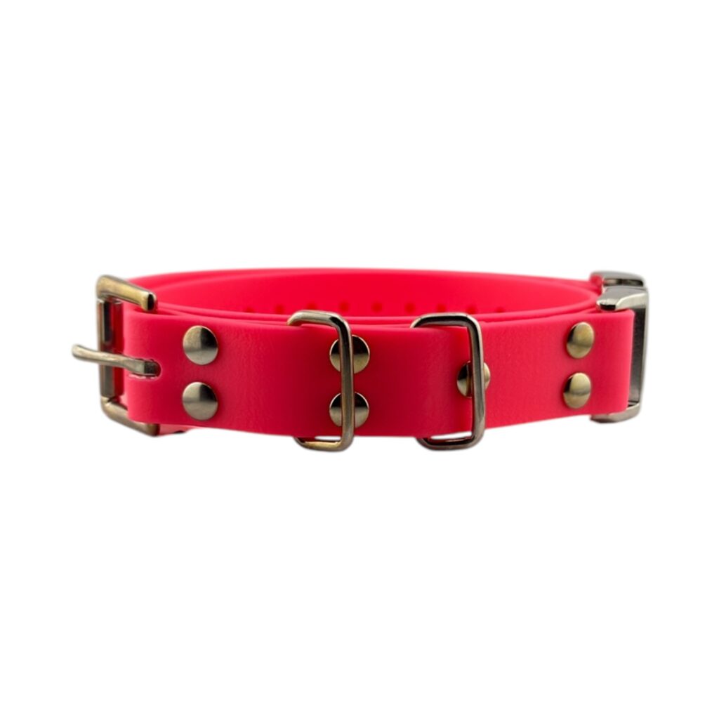 1″ Quick Snap Biothane Collar Strap | Colorful Dog Collars | E-Collar