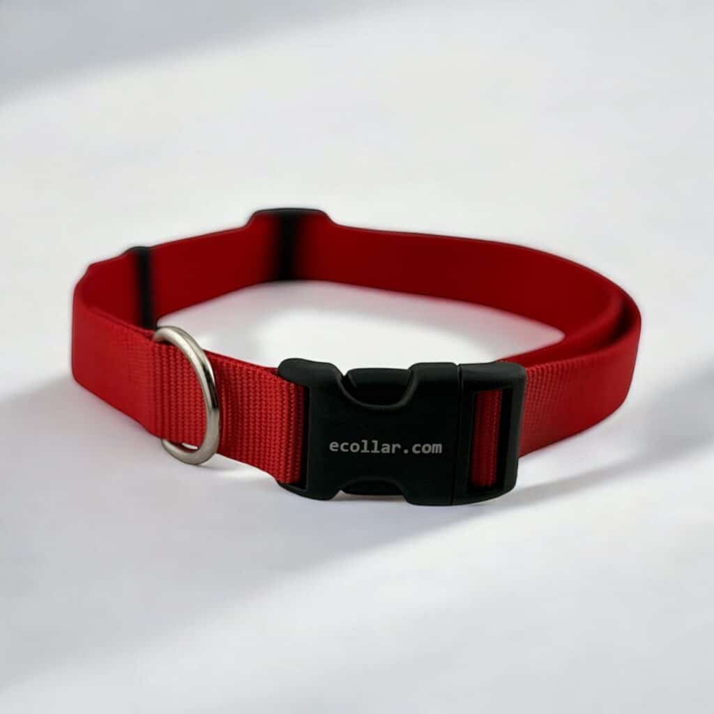 Red Nylon Collar 1″ | Durable Dog Collars | E-Collar