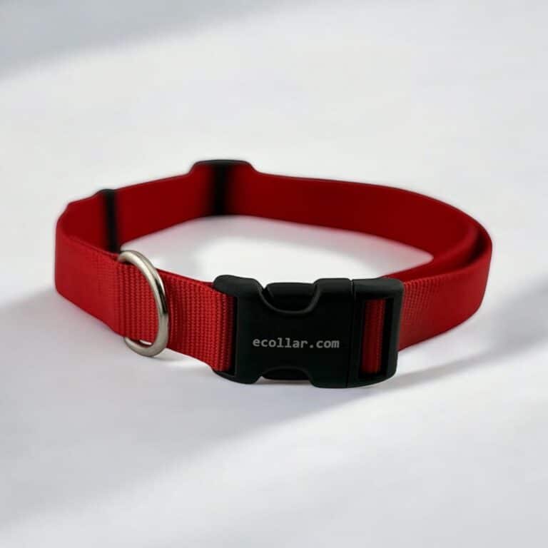 Red Nylon Collar 1″ | Durable Dog Collars | E-Collar